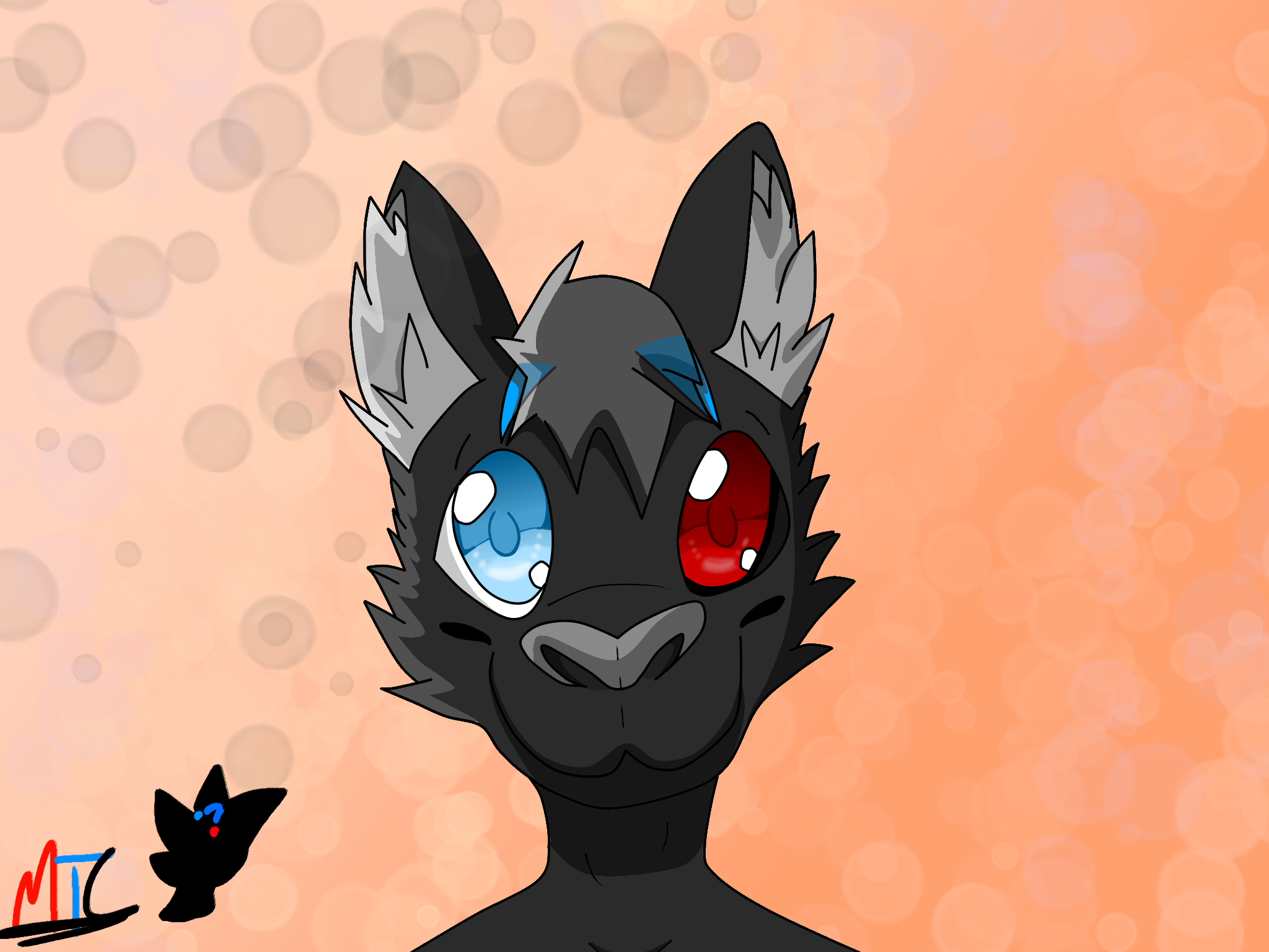 MillieTheCoyote (Re make) MillieTheCoyote - Illustrations ART street