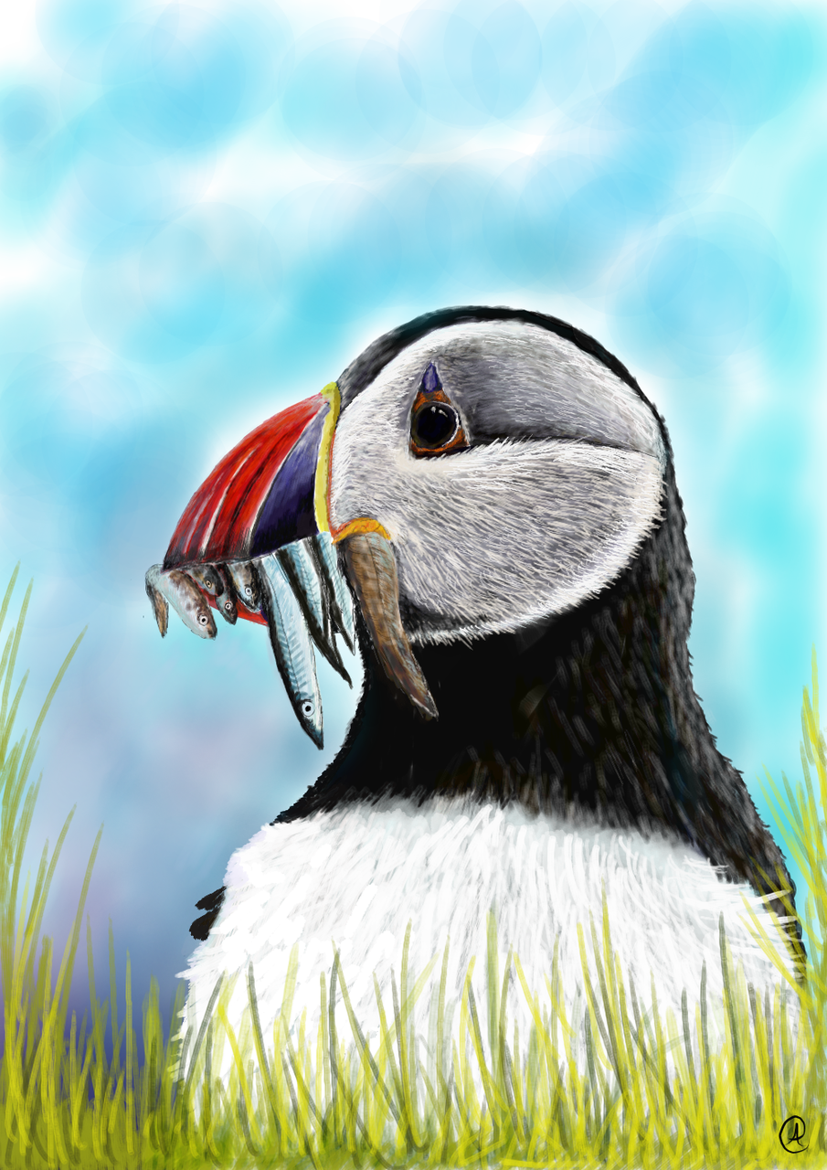 Atlantic Haul Moonlight hares studio - Illustrations ART street