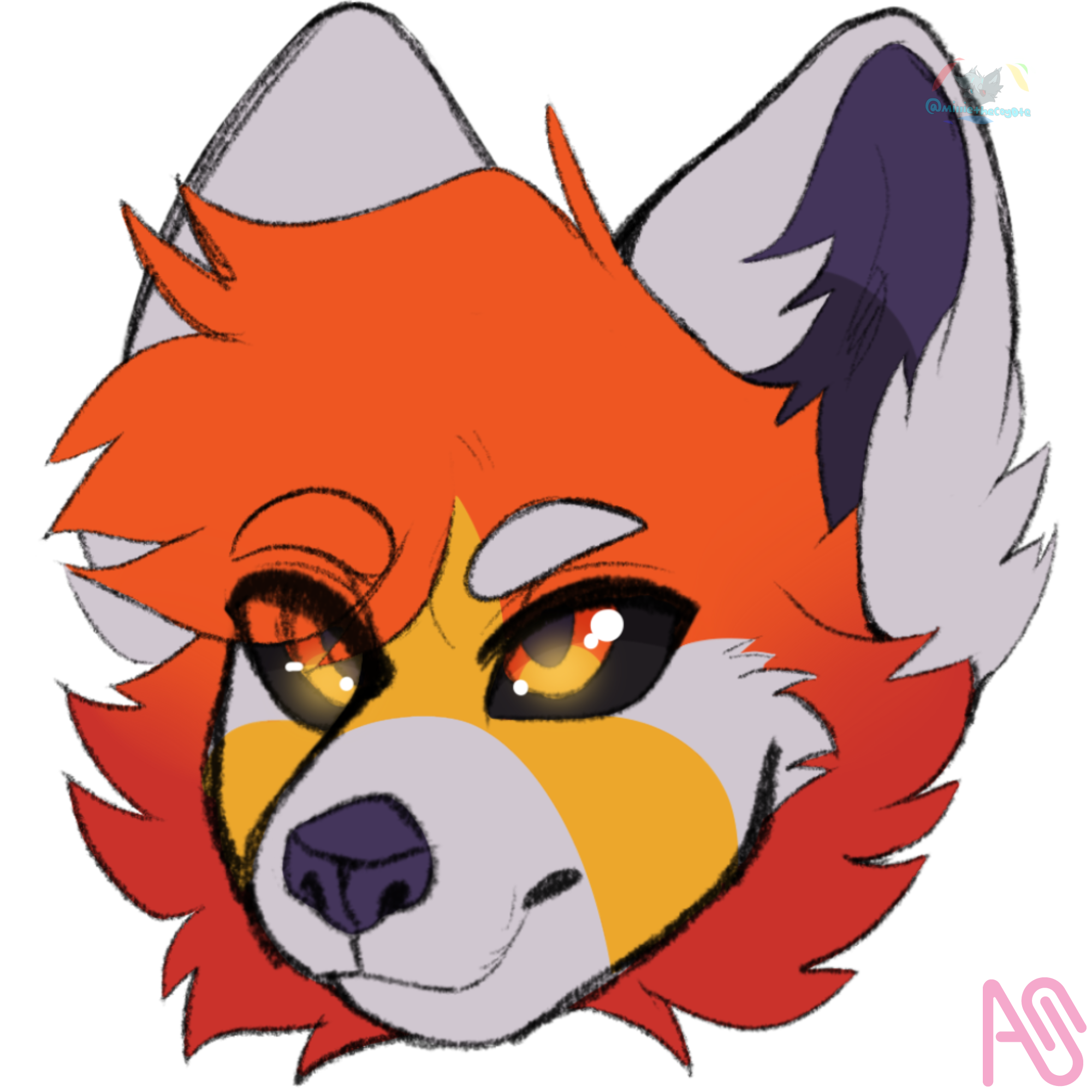 Huh MillieTheCoyote - Illustrations ART street