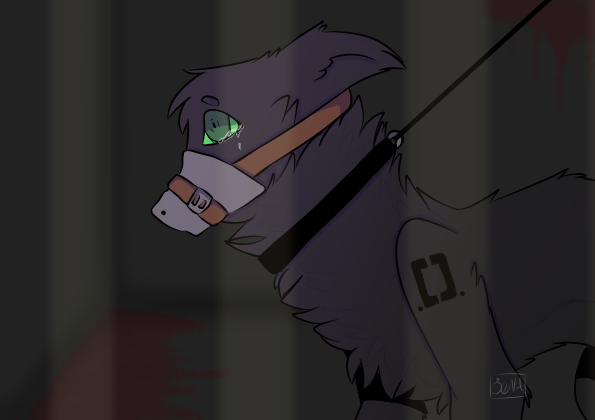 Experiment .0.-Redraw _wild_serbia_ - 插图 ART street