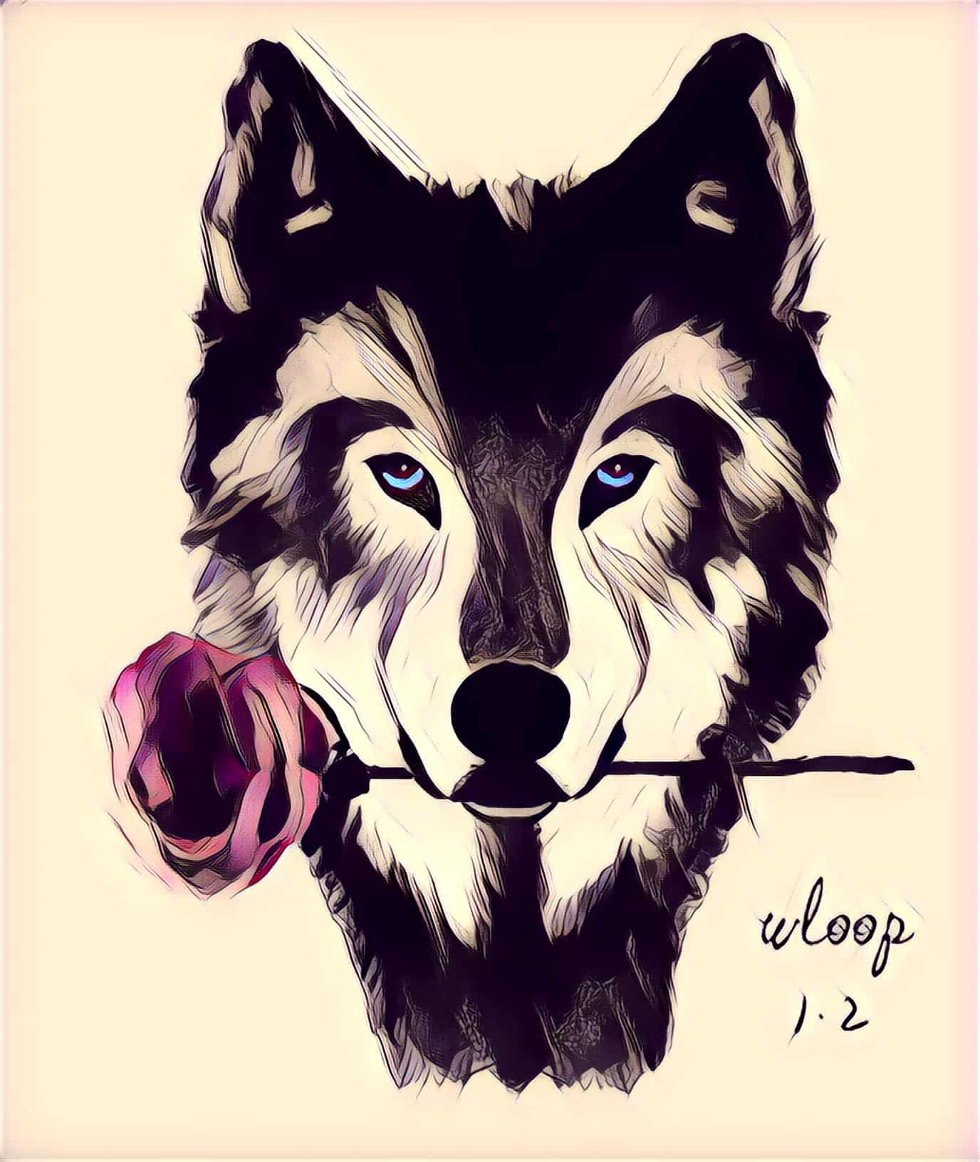 wolf wloop - Illustrations ART street