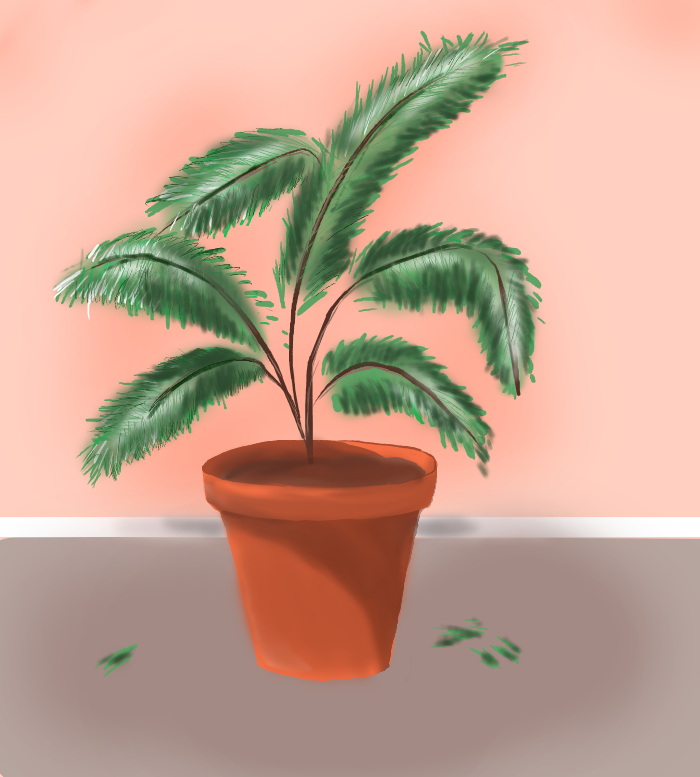 Plant Chami - Illustrations ART street